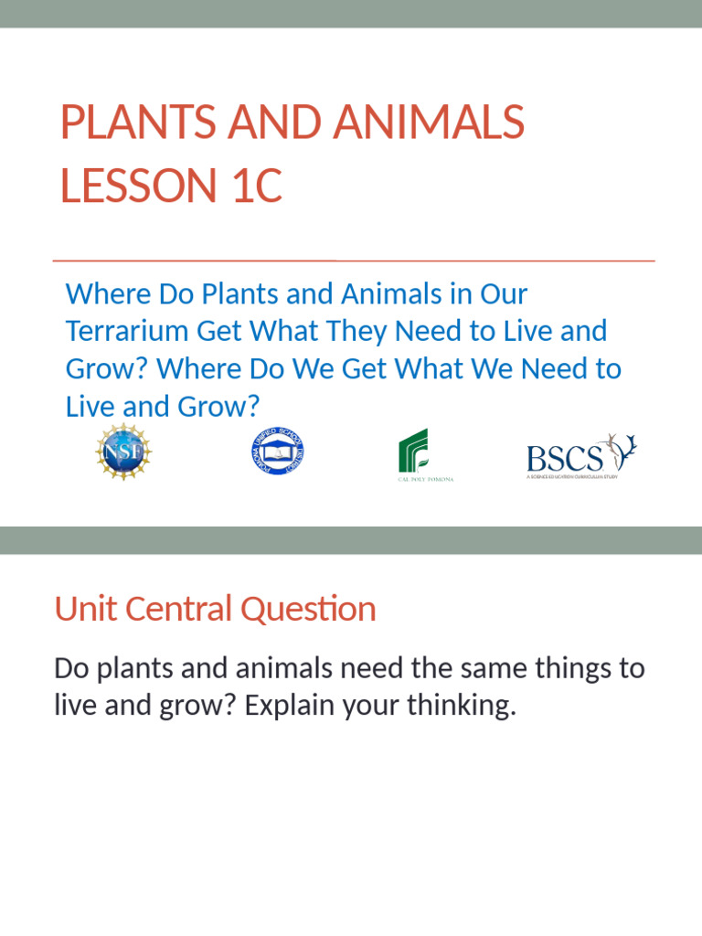 Gr0.Kpa Lesson1c | PDF