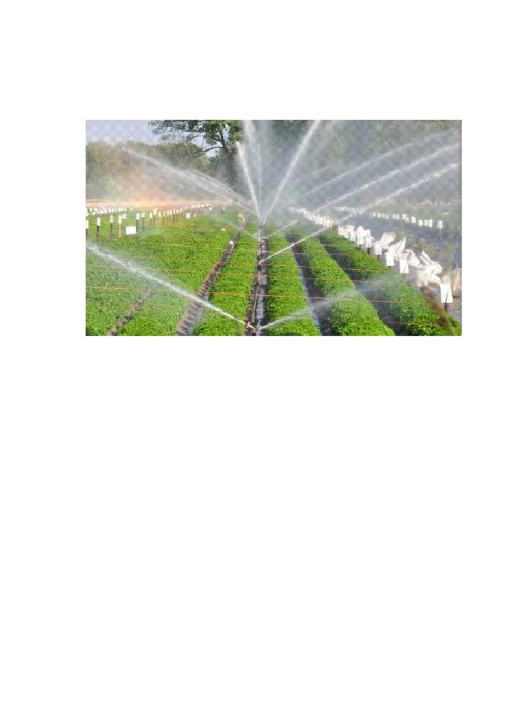 Form 2 Agri | PDF | Soil | Fertilizer