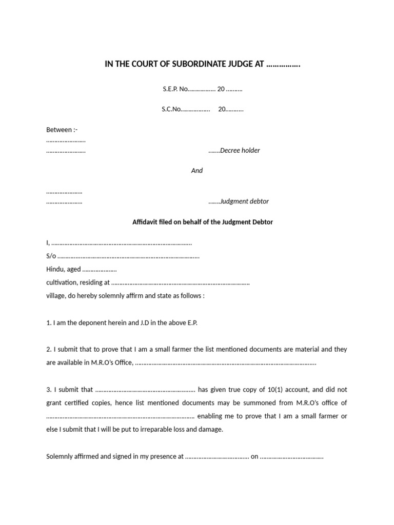 Affidavit Filed On Behalf of The Judgment Debtor-Affidavits-Miscellaneous-417 | PDF