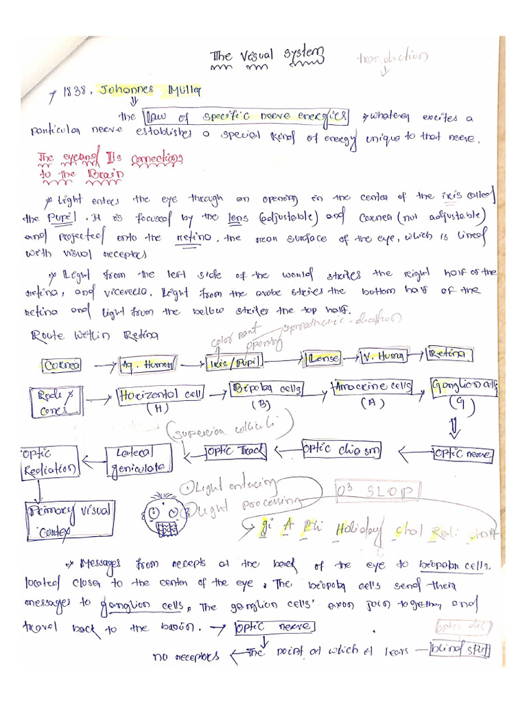 Perception Hand Written | PDF