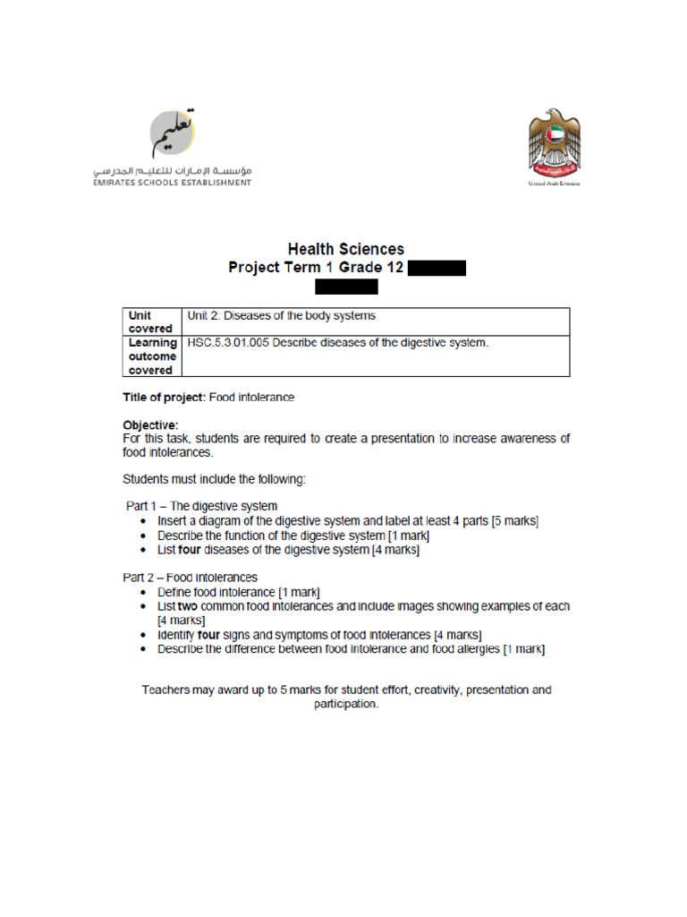 G12 Project T1 | PDF