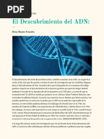 Historia y hallazgo del fósil Naia | PDF | Adn | Vida
