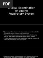 Respiratory Examination: OSCE Checklist | PDF | Respiratory System | Thorax