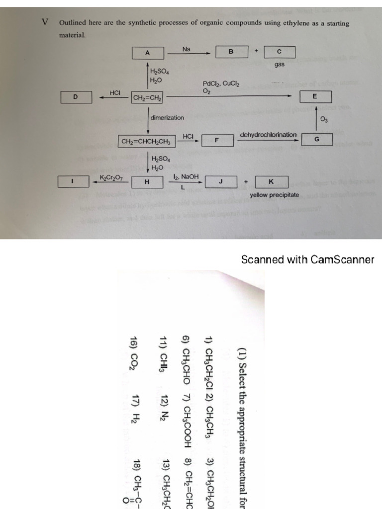 MEXT Graduation Test | PDF