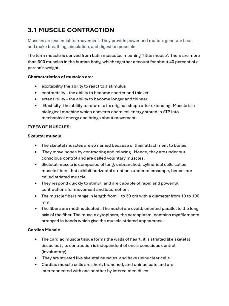 Understanding Muscle Contraction | PDF | Muscle Contraction | Muscle