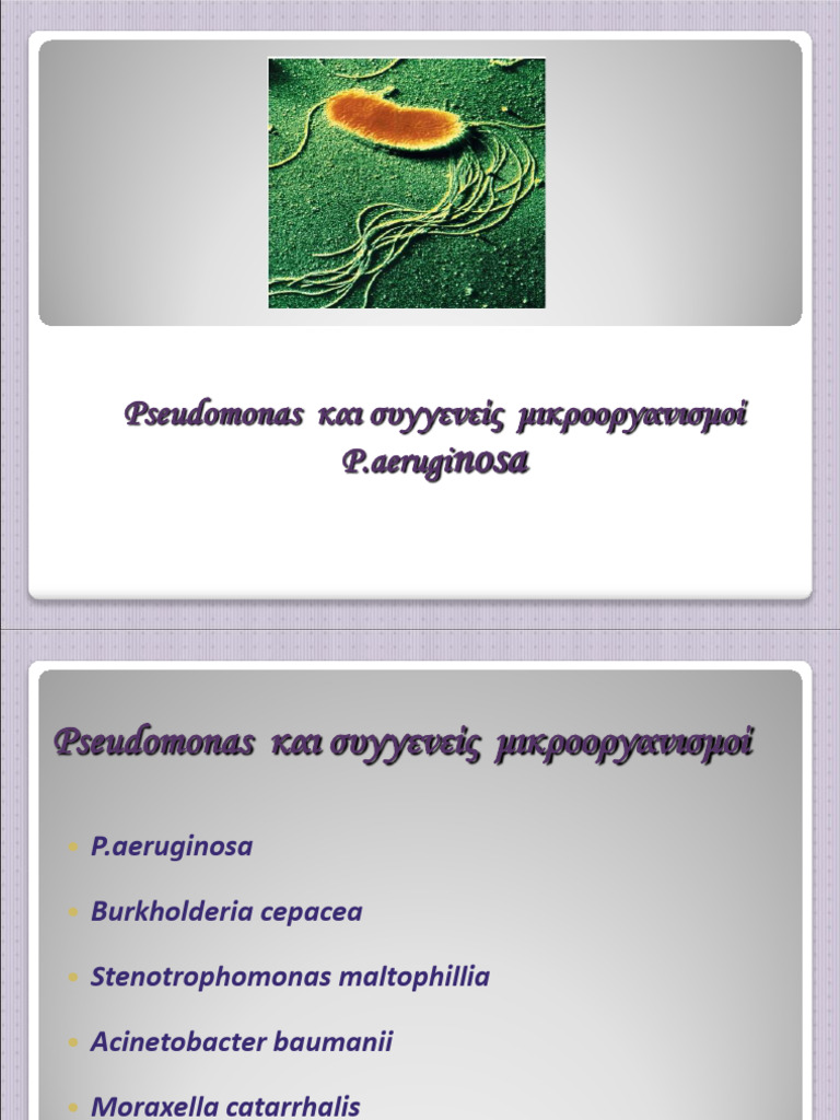 Pseudomonas Aeruginosa | PDF