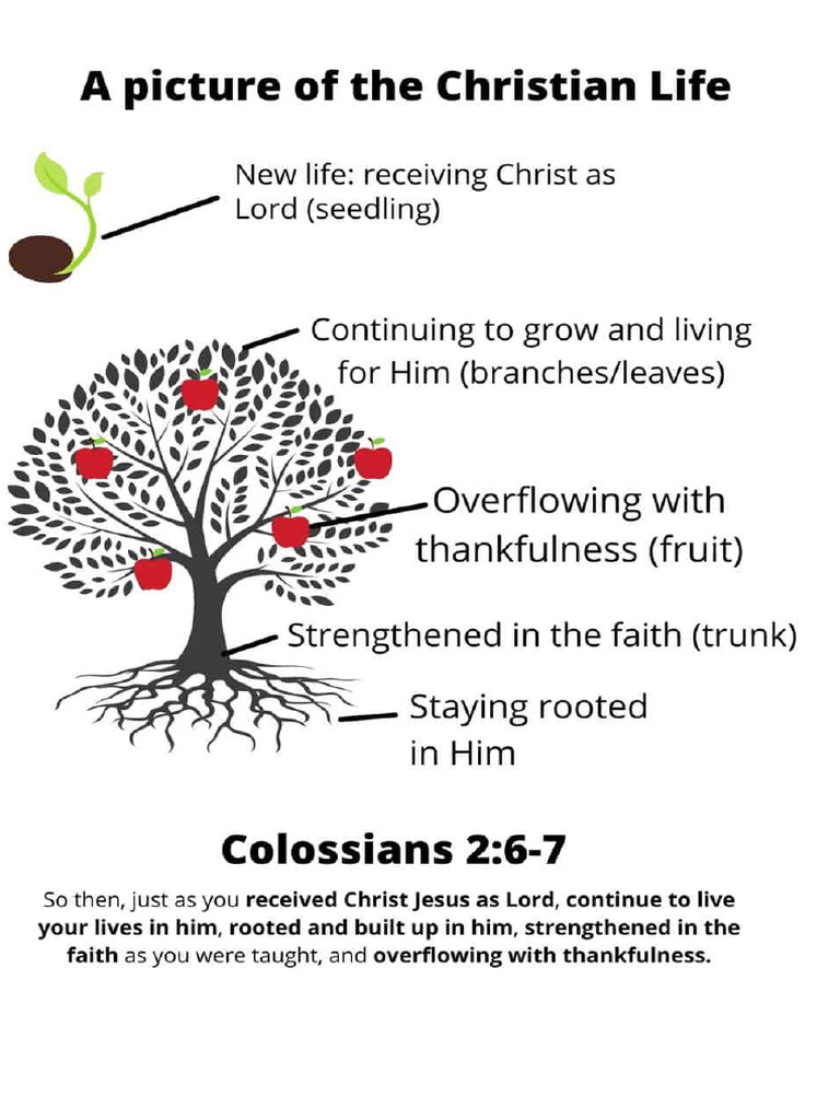 Christian Life | PDF