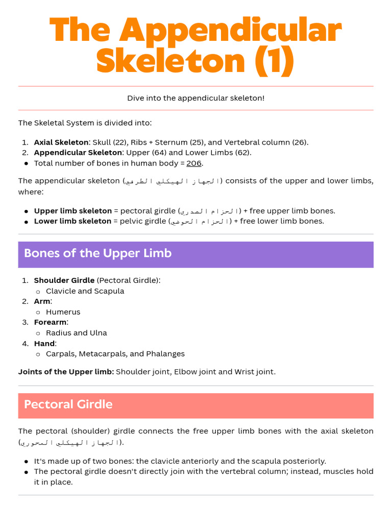 (F3) The Appendicular Skeleton | PDF | Elbow | Human Anatomy