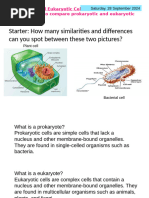 Class 9 - Diagram Cell | PDF