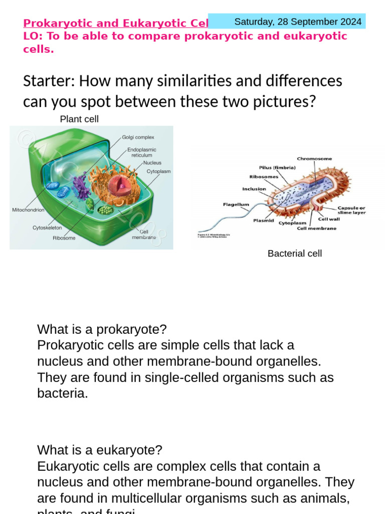Eukaryotic and Prokaryotic Cells | PDF | Cell (Biology) | Prokaryote
