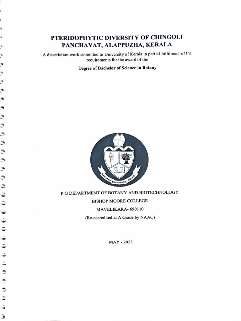 BSC Botany Projects | PDF | Fern | Leaf