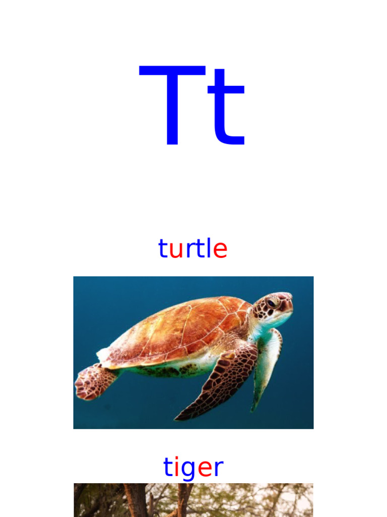 TT Phonics Pictures For Projecting | PDF