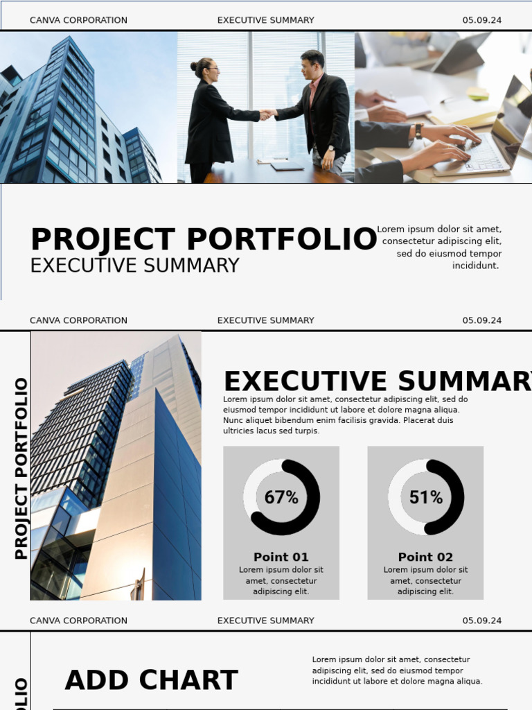 Project Portfolio Executive Summary Slides | PDF