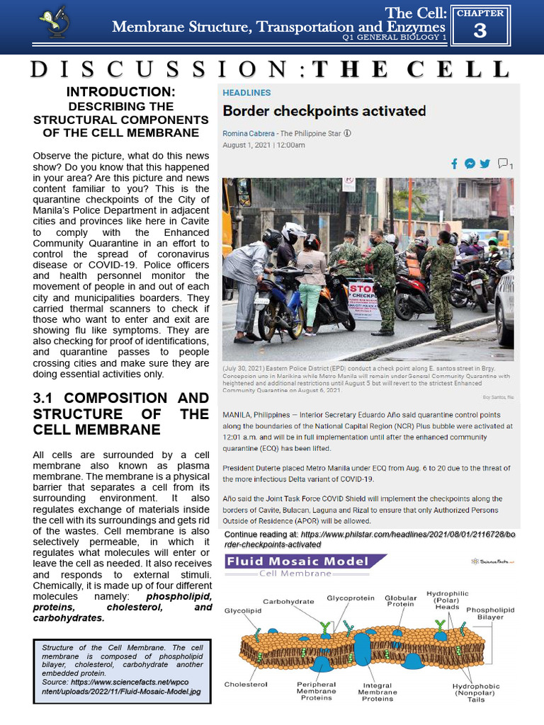 GB1 Q1 Chapter 3 Cell Transport | PDF | Cell Membrane | Enzyme