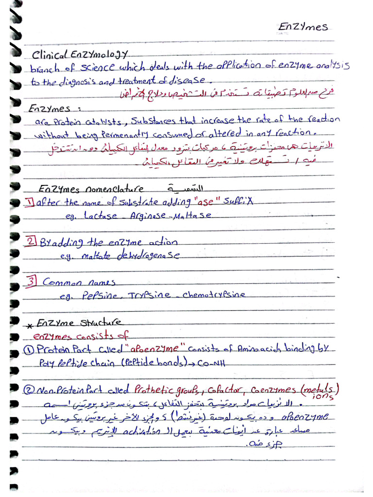 الأولي انزيمات | PDF