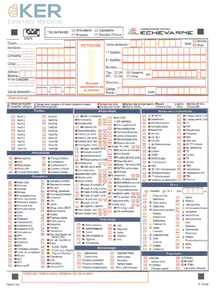 Peticion Pruebas | PDF