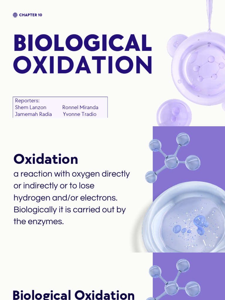 Chapter 10 Biological Oxidation | PDF | Redox | Pyruvic Acid