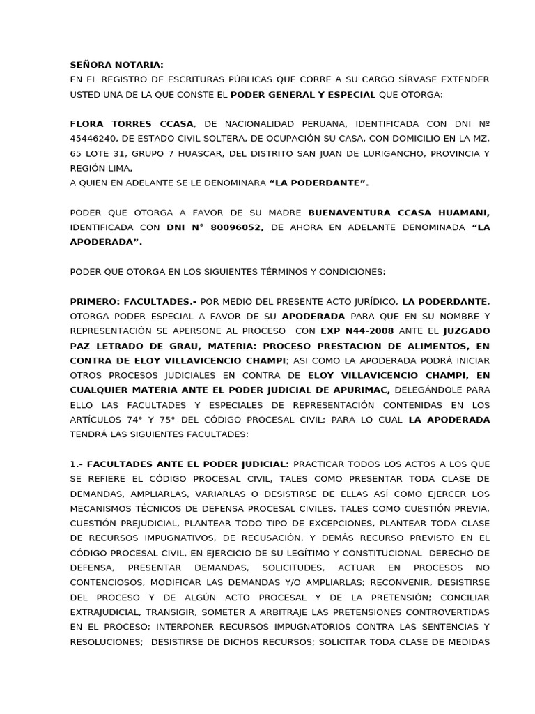 144.-Minuta.-Poder General y Especial. - Flora Torres Ccasa ...