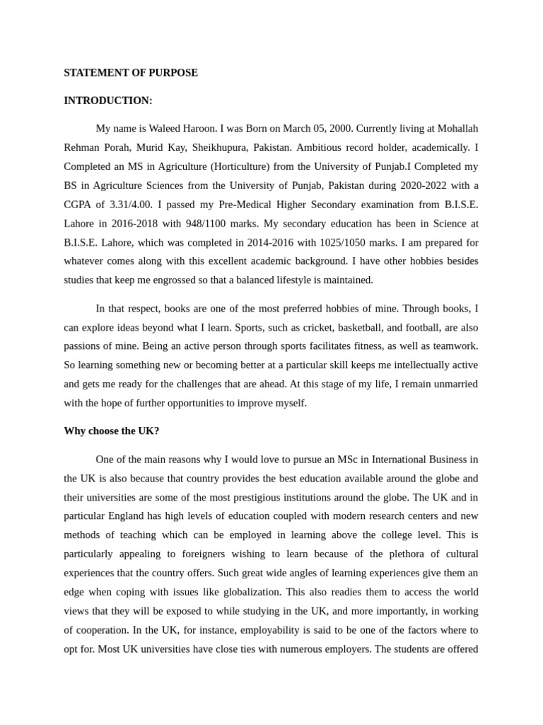 Chester STATEMENT OF PURPOSE | PDF | Marketing Strategy | Cognition