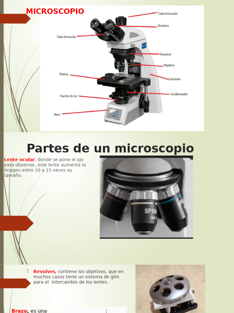 Partes del microscopio compuesto | PDF