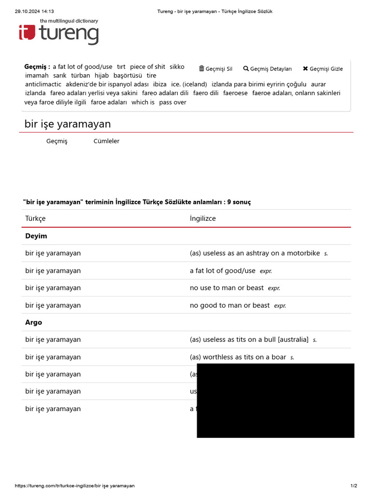 Tureng - Bir Işe Yaramayan - Türkçe İngilizce Sözlük | PDF