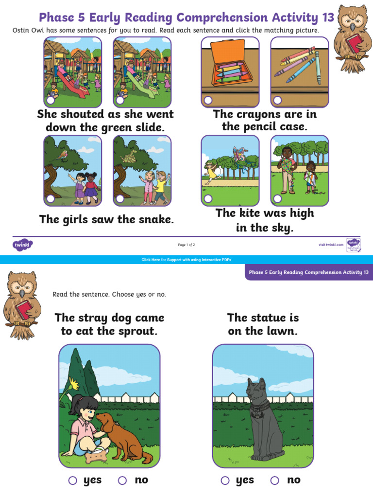 Phase 5 Reading Comprehension Activity | PDF