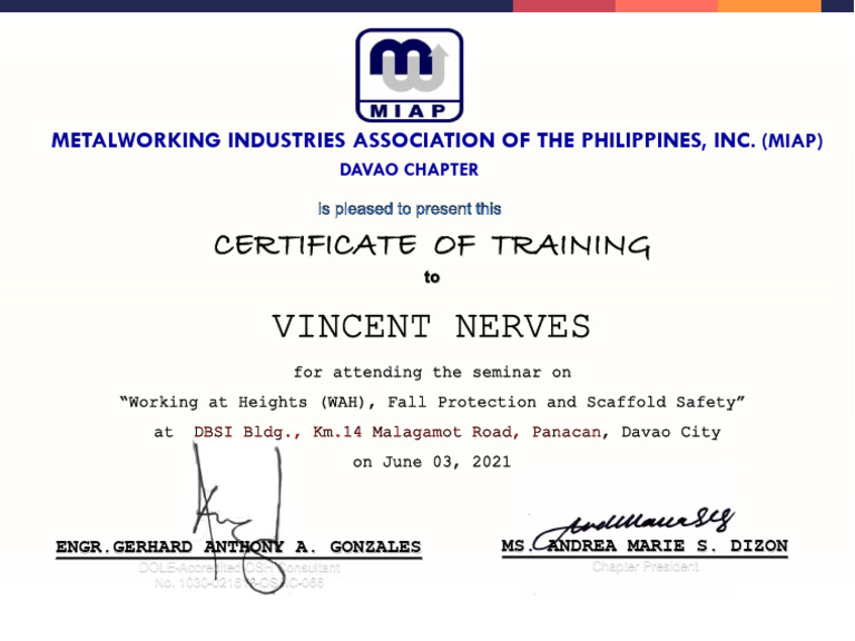 67.-Vincent-Nerves Oshs Wah Certificate | PDF