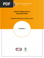 Notas Sobre A Introdução Ao Pensamento Jurídico (Einführung in Das ...