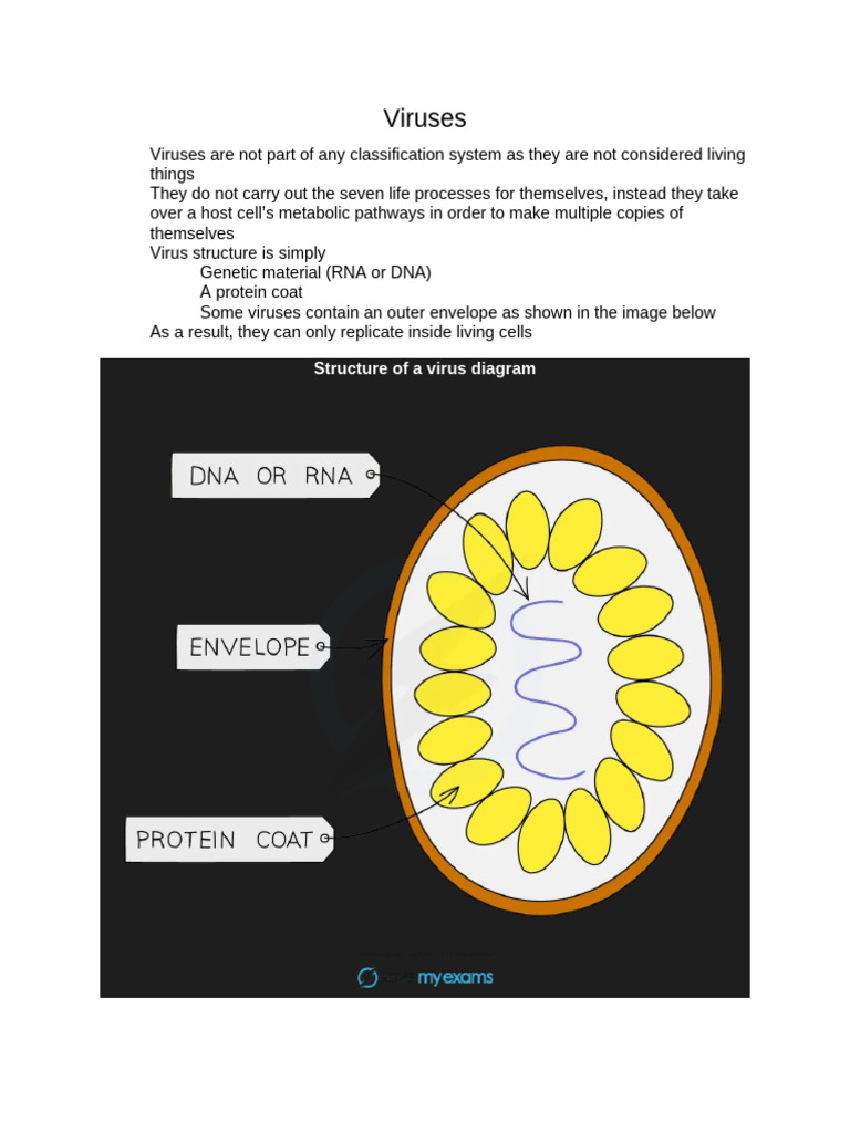 Understanding Virus Basics | PDF | Wellness | Science & Mathematics