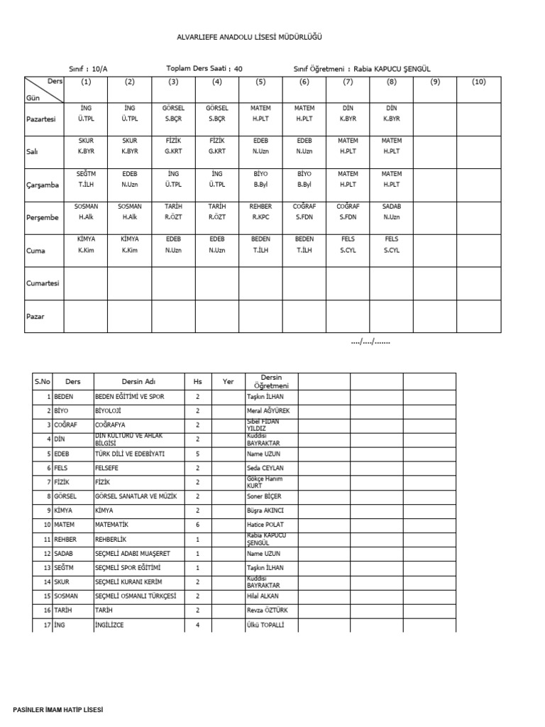 SnfProgram pdfSON | PDF