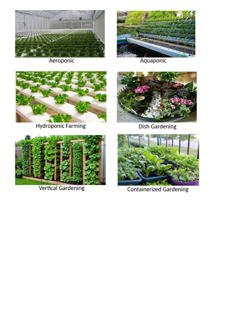 Gardening | PDF | Home & Garden | Science & Mathematics