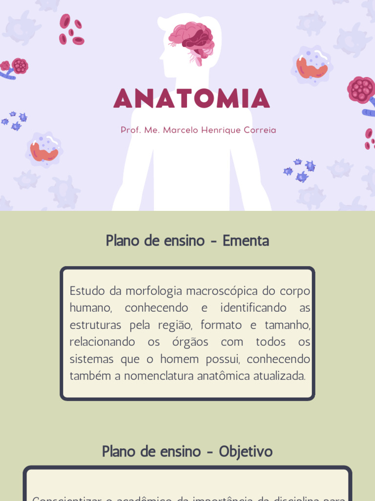Anatomia - Planos e Eixos - 2 | PDF | Anatomia | Corpo humano