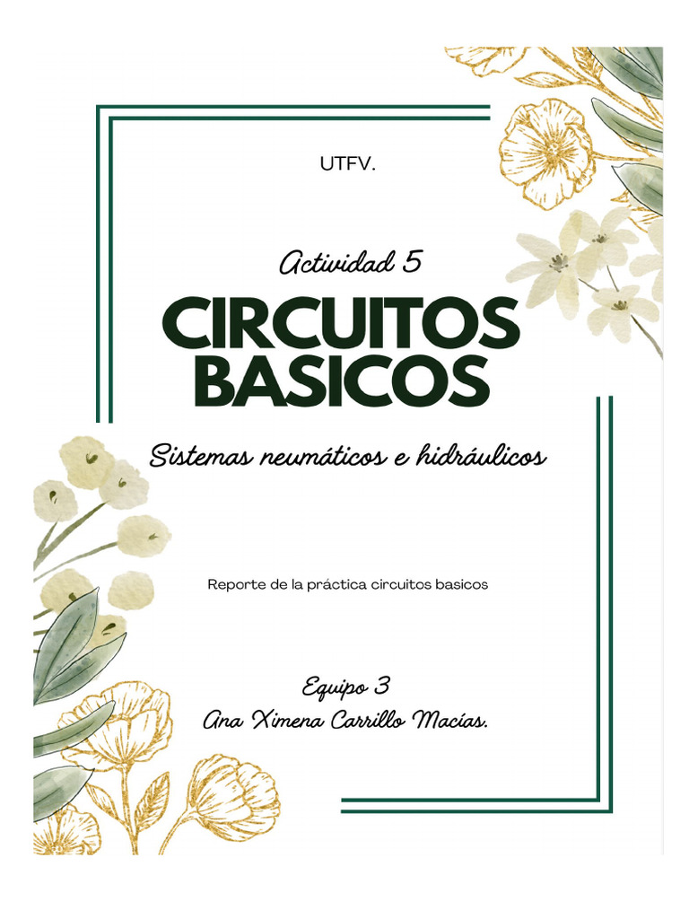 Reporte de Circuitos Basicos | PDF