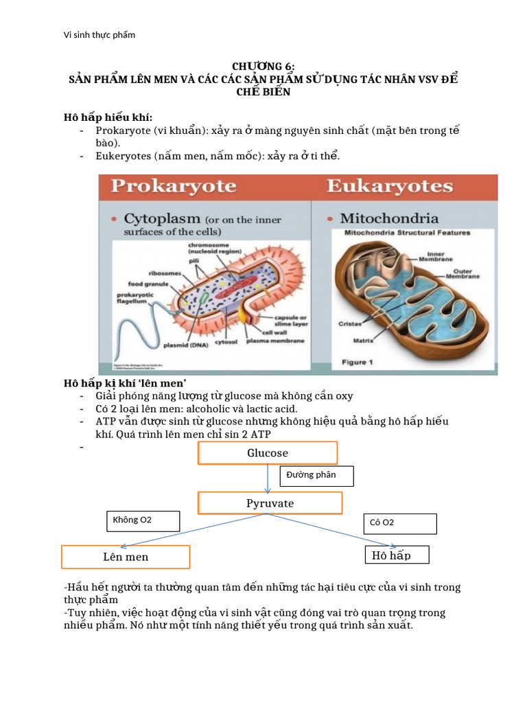 C6 - Lên Men Và Mcrobial Foods | PDF