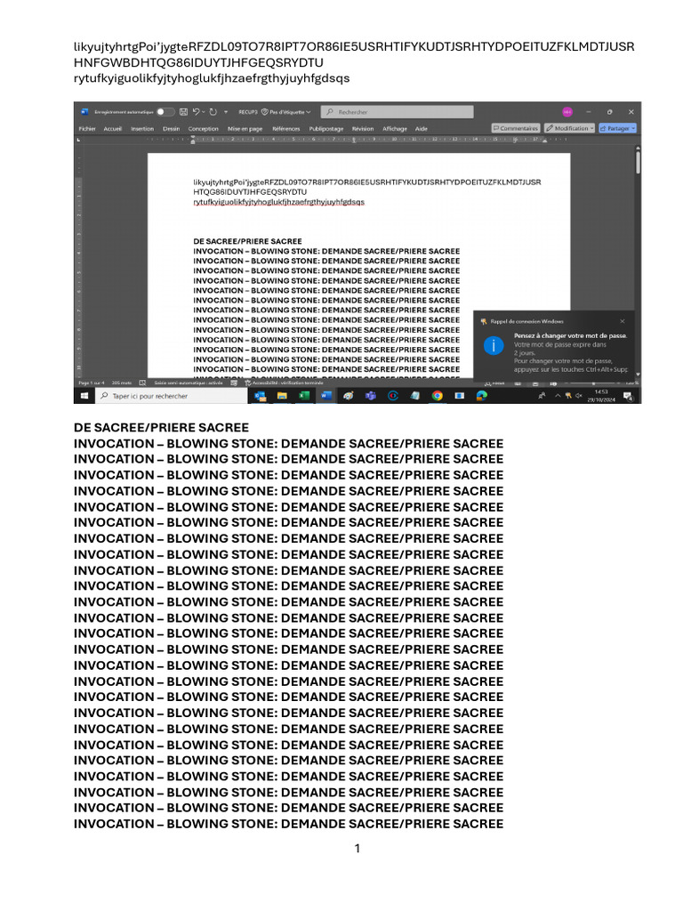 Rapport 102 | PDF | Business | Technology & Engineering