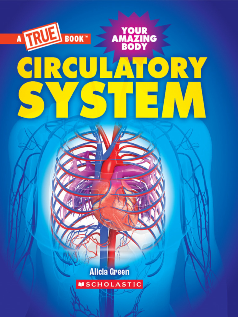 Circulatory System | PDF