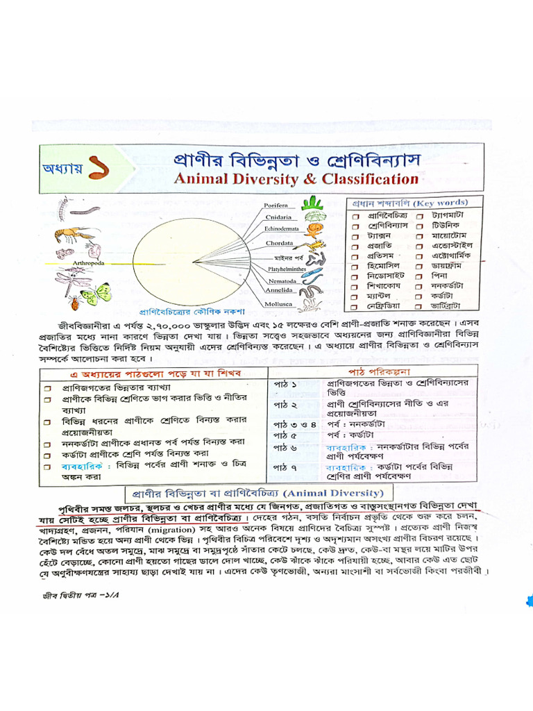 Animal Diversity & Classification | PDF