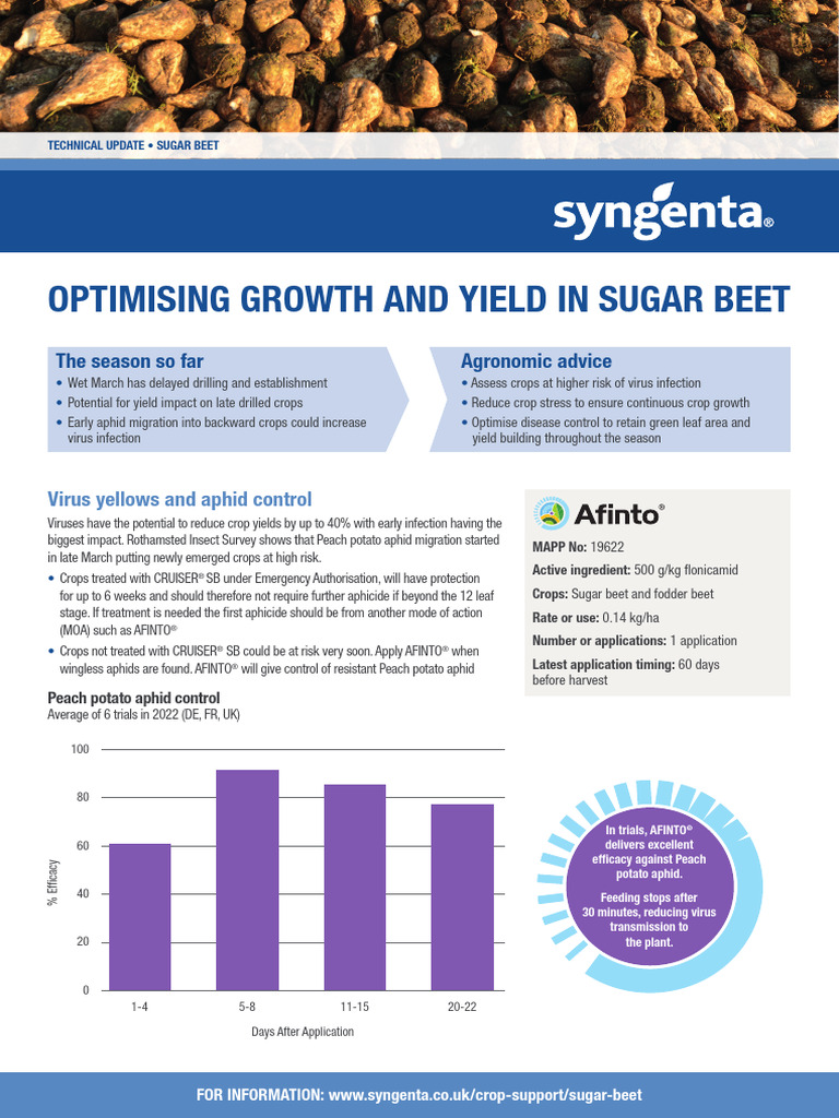 SugarBeet TU 05.2024 Web - 1 | PDF | Sugar Beet | Crops