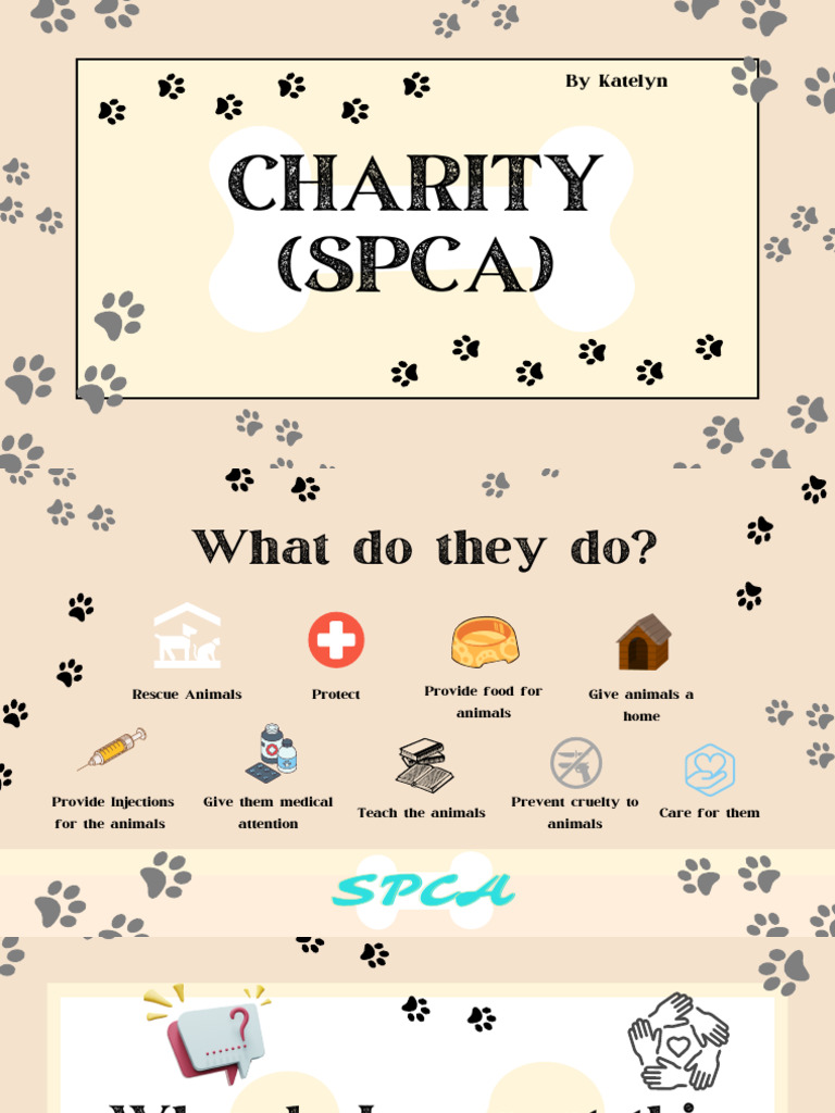 Charity (Spca) | PDF | Self-Improvement | Lifestyle