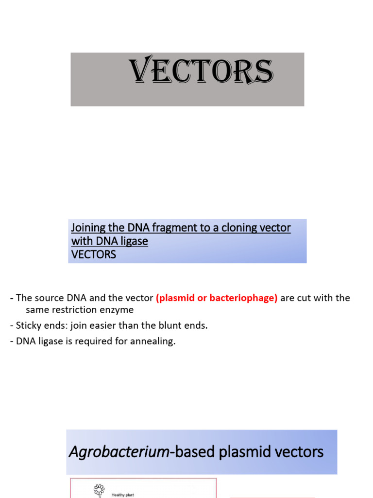 Lecture 8 | PDF | Plasmid | Biotechnology