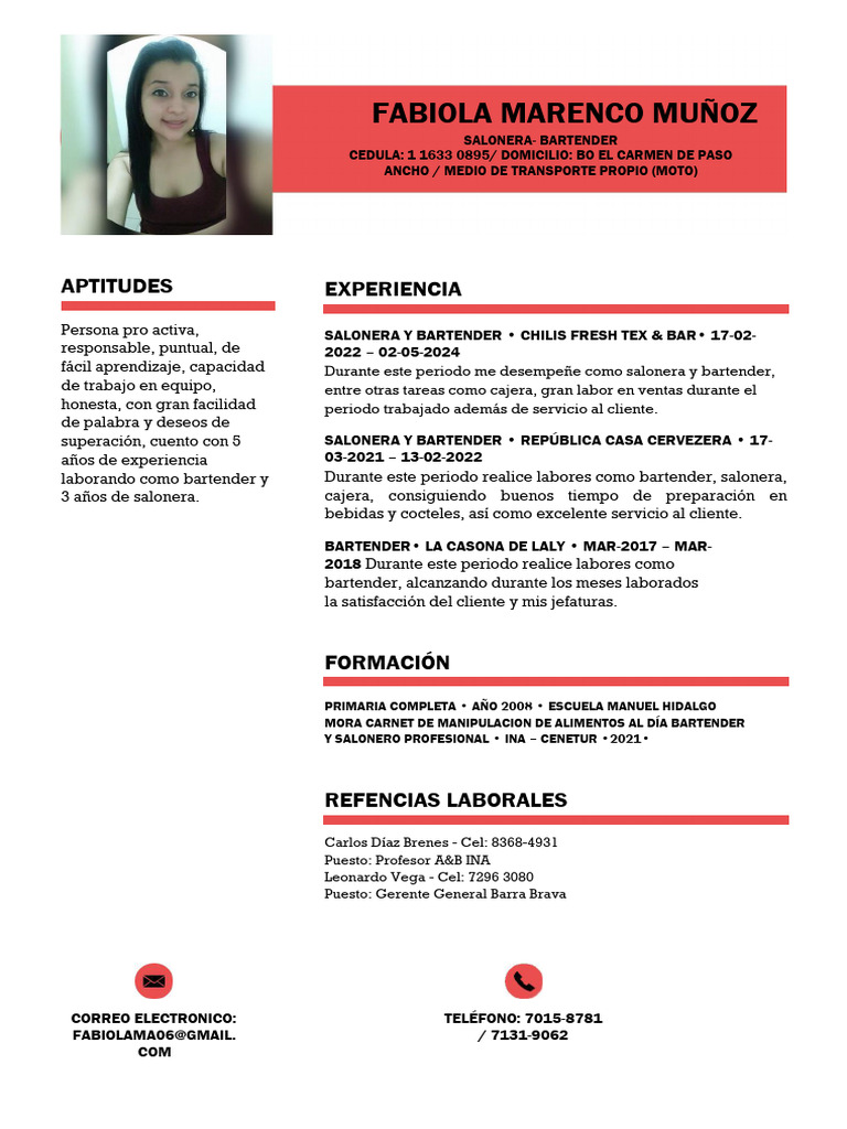 Curriculum Fabi | PDF