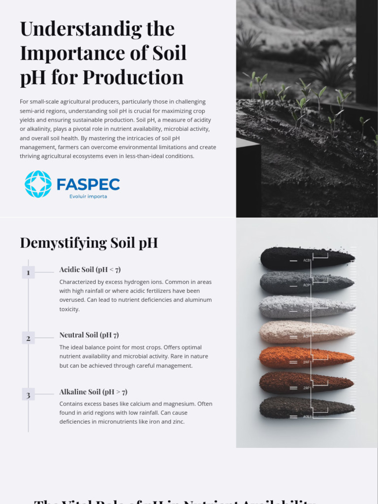 C3 - Understandig The Importance of Soil PH For Production | PDF | Soil ...