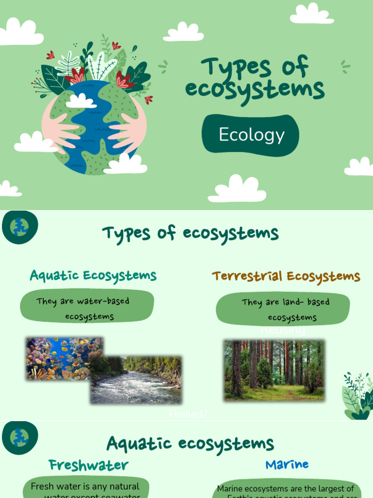 Lesson 4 TYPES OF ECOSYSTEMS | PDF | Forests | Aquatic Ecosystem