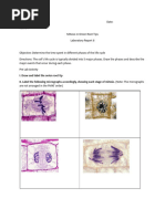 Lab Manual - Mitosis in An Onion Root Cell | PDF