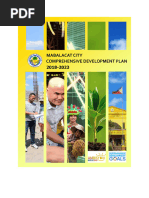 LGU Comprehensive Development Plan | PDF
