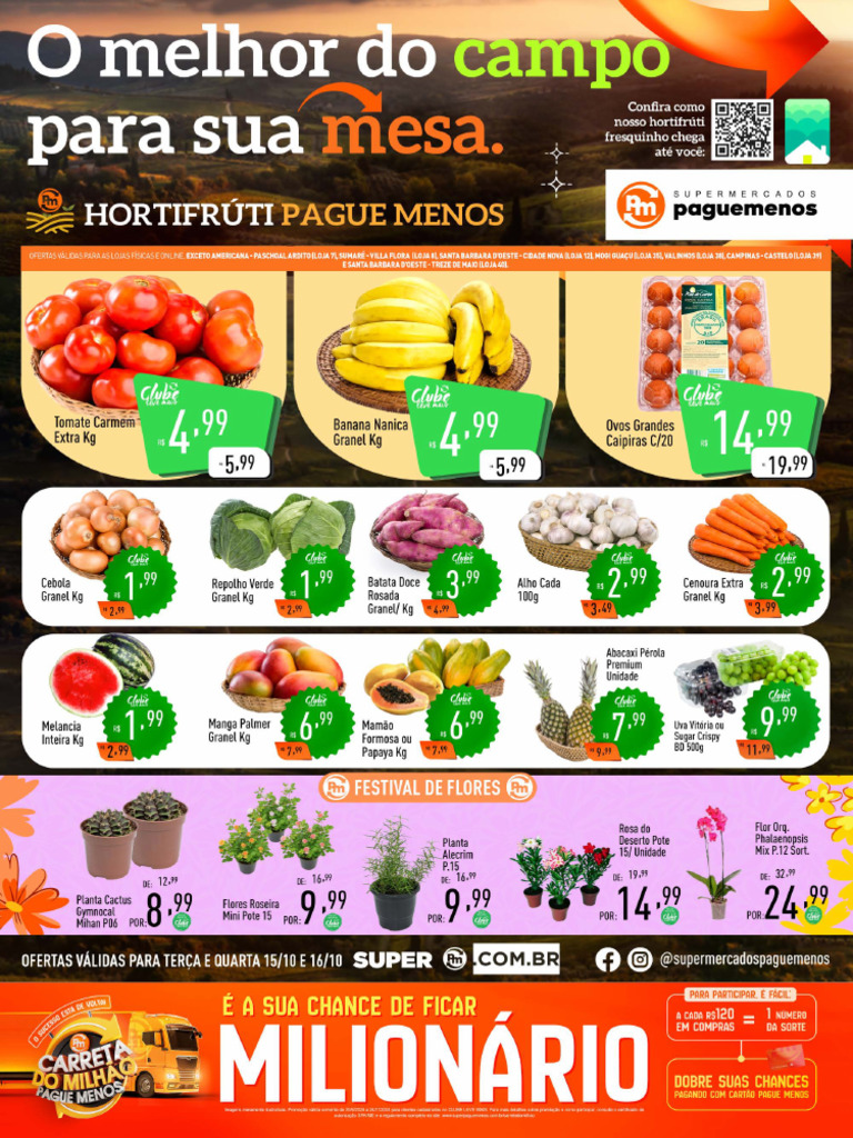 Tabloide FLV Rede d9QWqtz | PDF