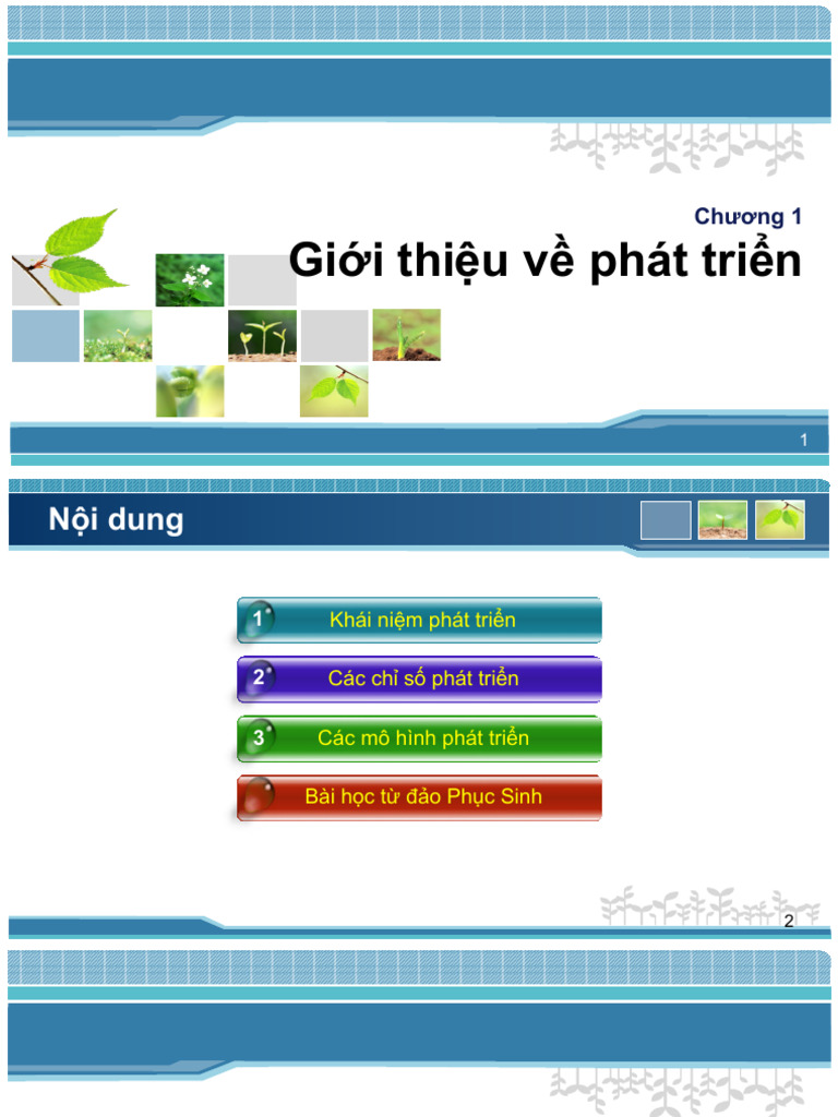 2024 - C1 - Gioi Thieu Ve Phat Trien | PDF
