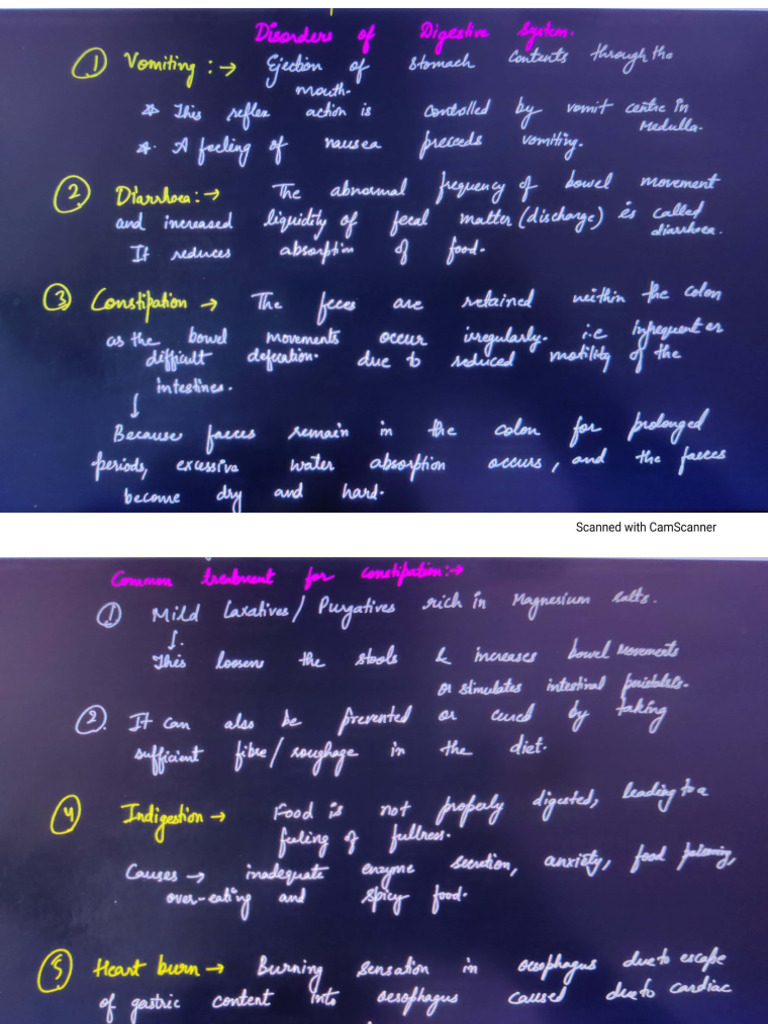 Digestion (Absorption To Disorders) | PDF