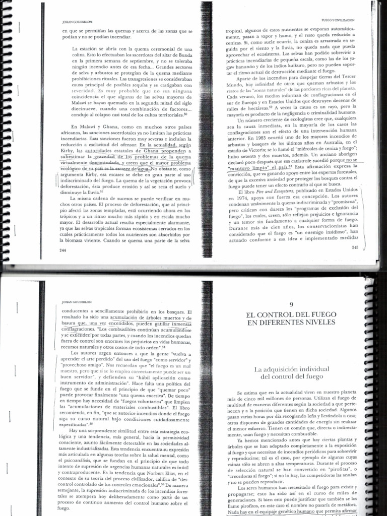GOUDSBLOM - Fuego y Civilización - Parte 2 | PDF