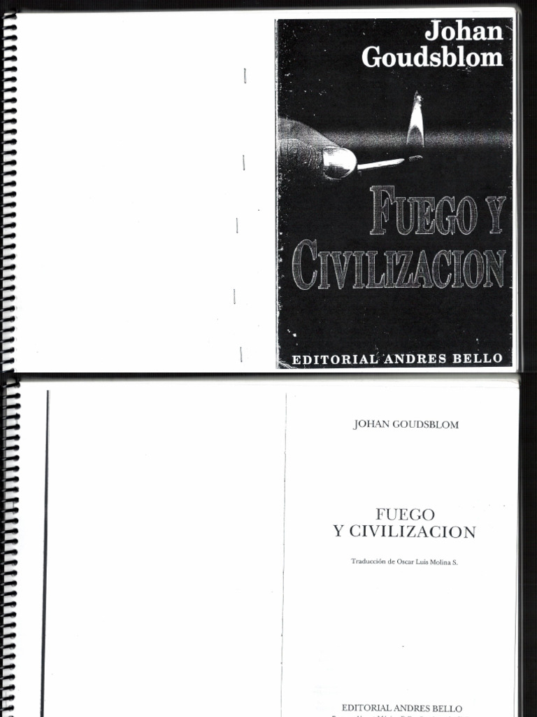 GOUDSBLOM - Fuego y Civilización - Parte 1 | PDF